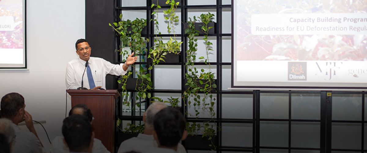 Dilmah Champions Sustainable Supply Chains in Sri Lanka - Dilmah Tea
